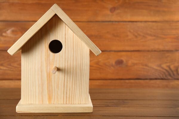 Bird Box Design Inspiration and Ideas for Making your Own