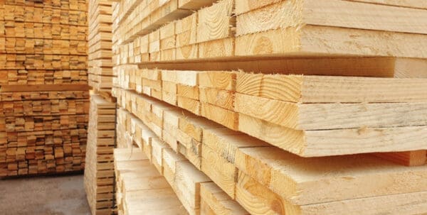 Fixing wood defects, mistakes and gaps: best practice, easy fixes